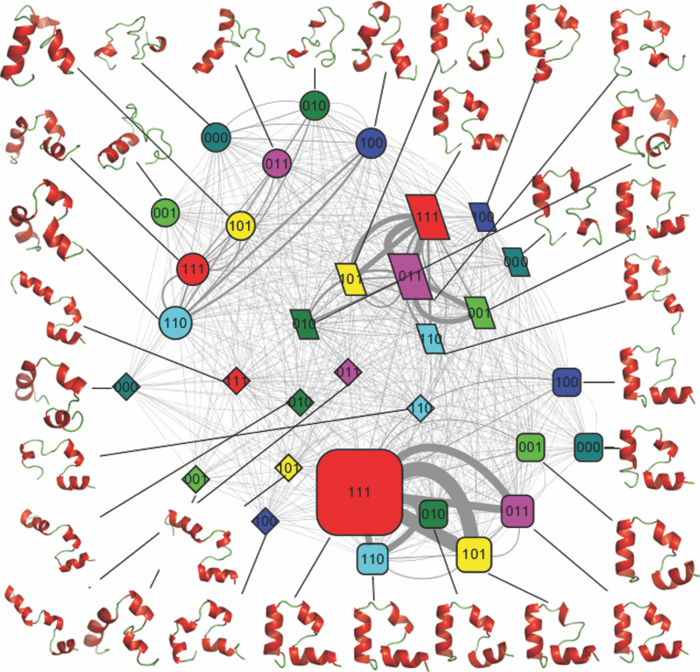 The protein folding network indicates that the ultrafast folding mutant ...
