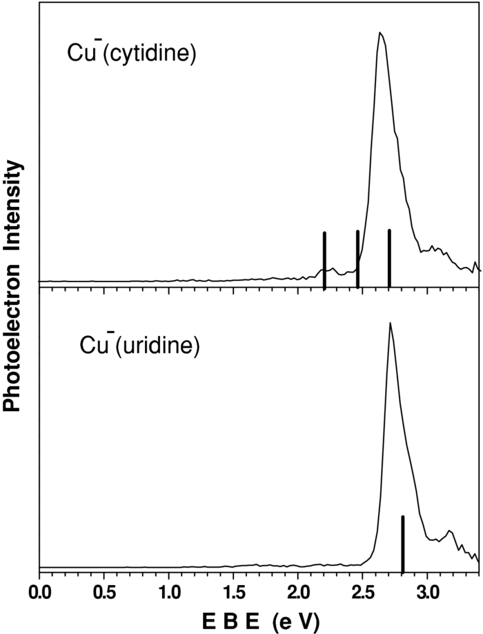 Photoelectron and computational studies of the copper-nucleoside ...