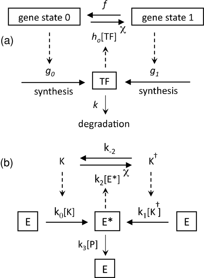 A perturbation analysis of rate theory of self-regulating genes and ...