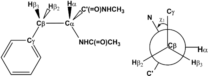 Communication: Accurate determination of side-chain torsion angle χ1 in ...