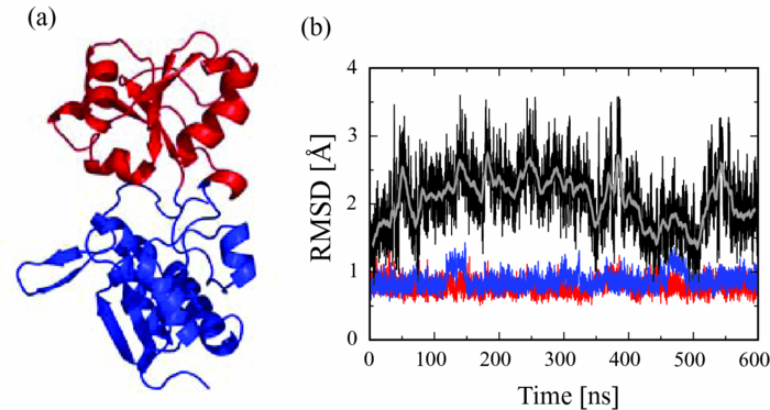 Slow dynamics in protein fluctuations revealed by time-structure based ...