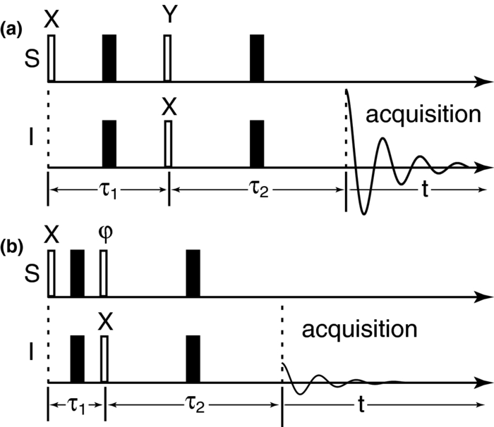 Communication: Partial polarization transfer for single-scan ...