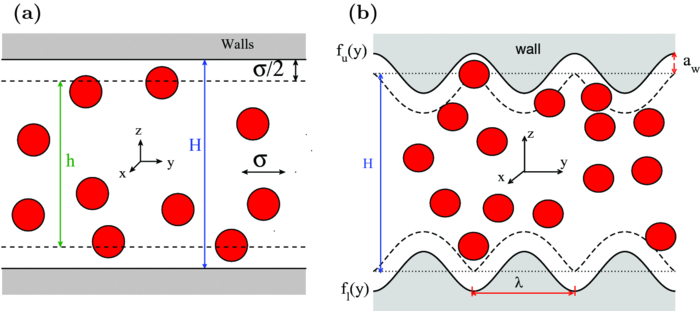 Impact of surface roughness on diffusion of confined fluids | The ...