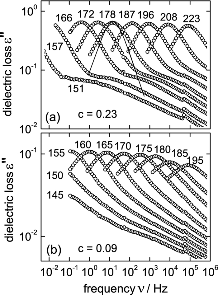 Surface and confinement effects on the dielectric relaxation of a ...