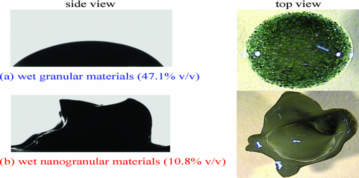 Wet nanogranular materials: Colloidal glass and gel | The Journal of ...