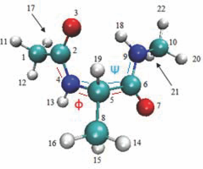 Study on the conformational equilibrium of the alanine dipeptide in ...