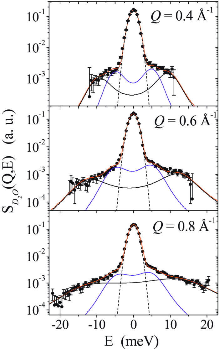 Collective density fluctuations of DNA hydration water in the time ...
