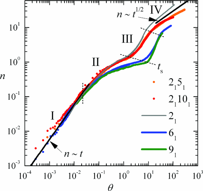 Simulation of heterogeneous end-coupling reactions in polydisperse ...
