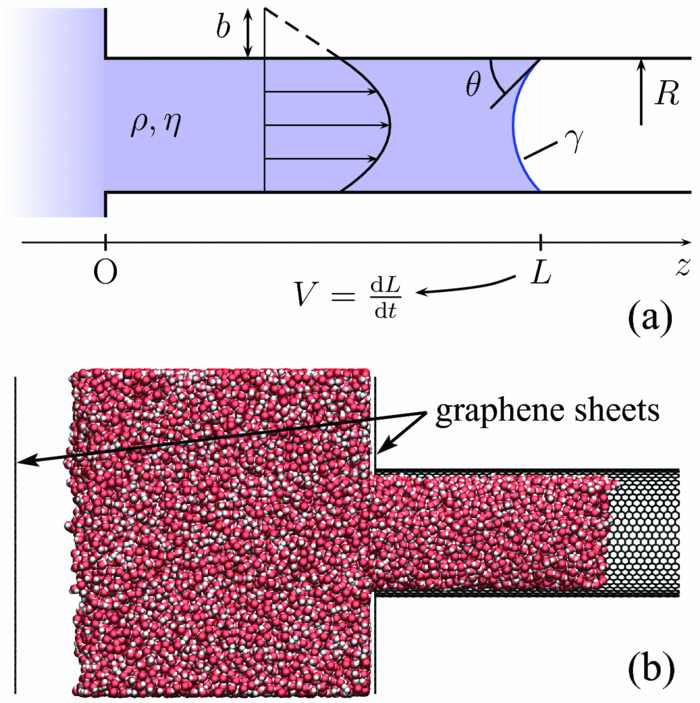 Capillary filling with giant liquid/solid slip: Dynamics of water ...