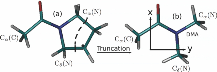 Solvent and conformation dependence of amide I vibrations in peptides ...