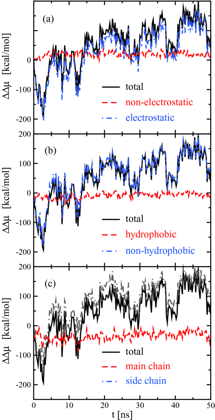 Atomic decomposition of the protein solvation free energy and its ...