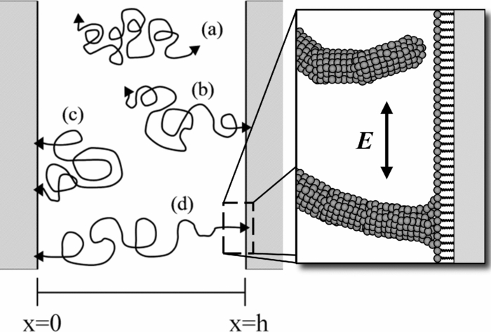 Colloidal interactions mediated by end-adsorbing polymer-like micelles ...