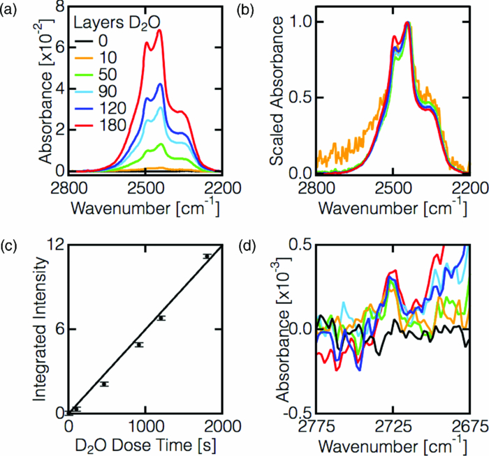 Dynamics Of The Sputtering Of Water From Ice Films By Collisions With Energetic Xenon Atoms
