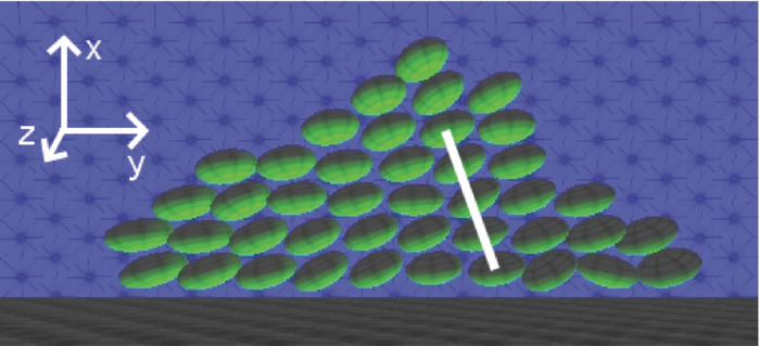 Anisotropic behavior of organic molecules on prepatterned surfaces ...