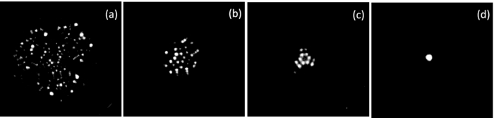 Creation and recovery of a W(111) single atom gas field ion source ...