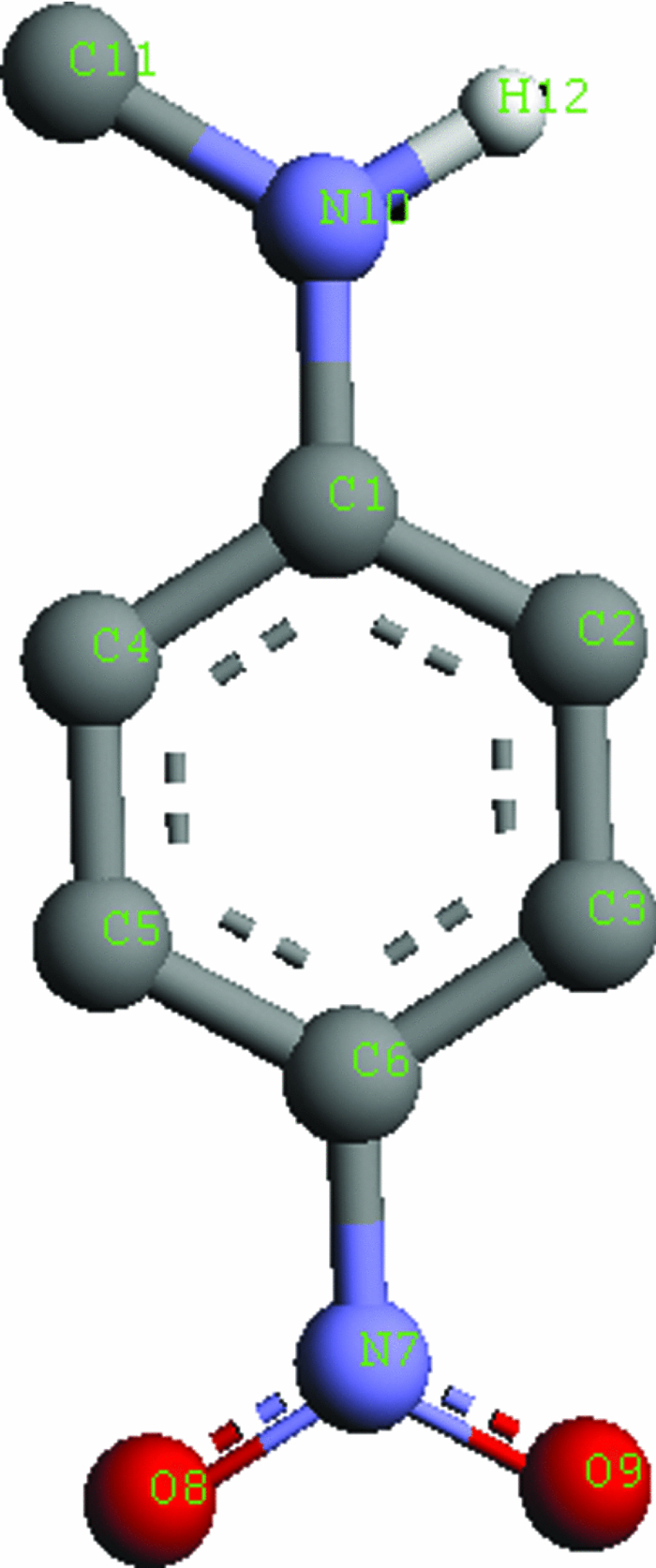 Solvation free energies and hydration structure of N-methyl-p ...