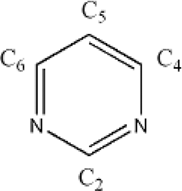 Resonant Auger spectroscopy at the carbon and nitrogen K-edges of ...