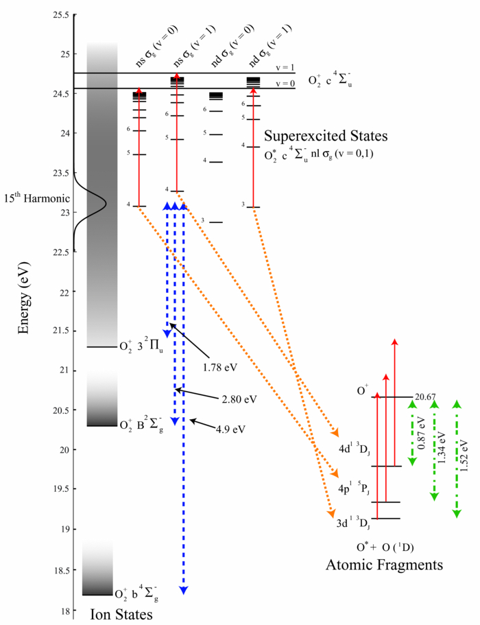 Ultrafast decay of superexcited |$c{\ }\sideset{^{4}}{_{u}^{-}}{\Sigma ...