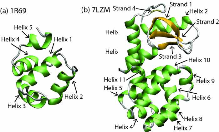 Multiple molecule effects on the cooperativity of protein folding ...
