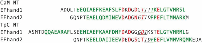 Understanding the EF-hand closing pathway using non-biased interatomic ...