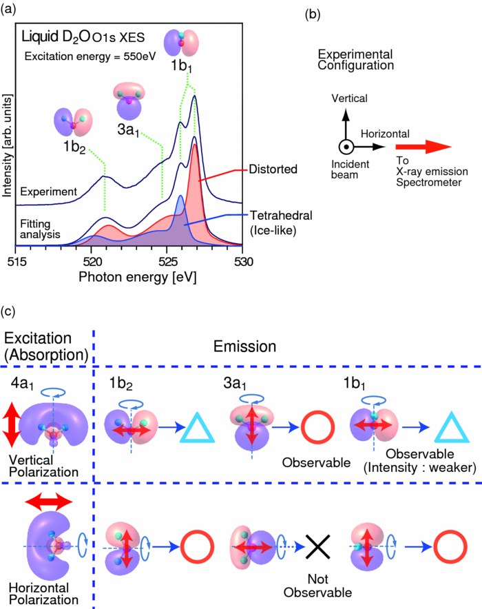 Polarization dependent resonant x-ray emission spectroscopy of D2O and ...