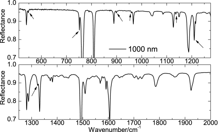 Investigation of intermolecular interactions in perylene films on Au ...