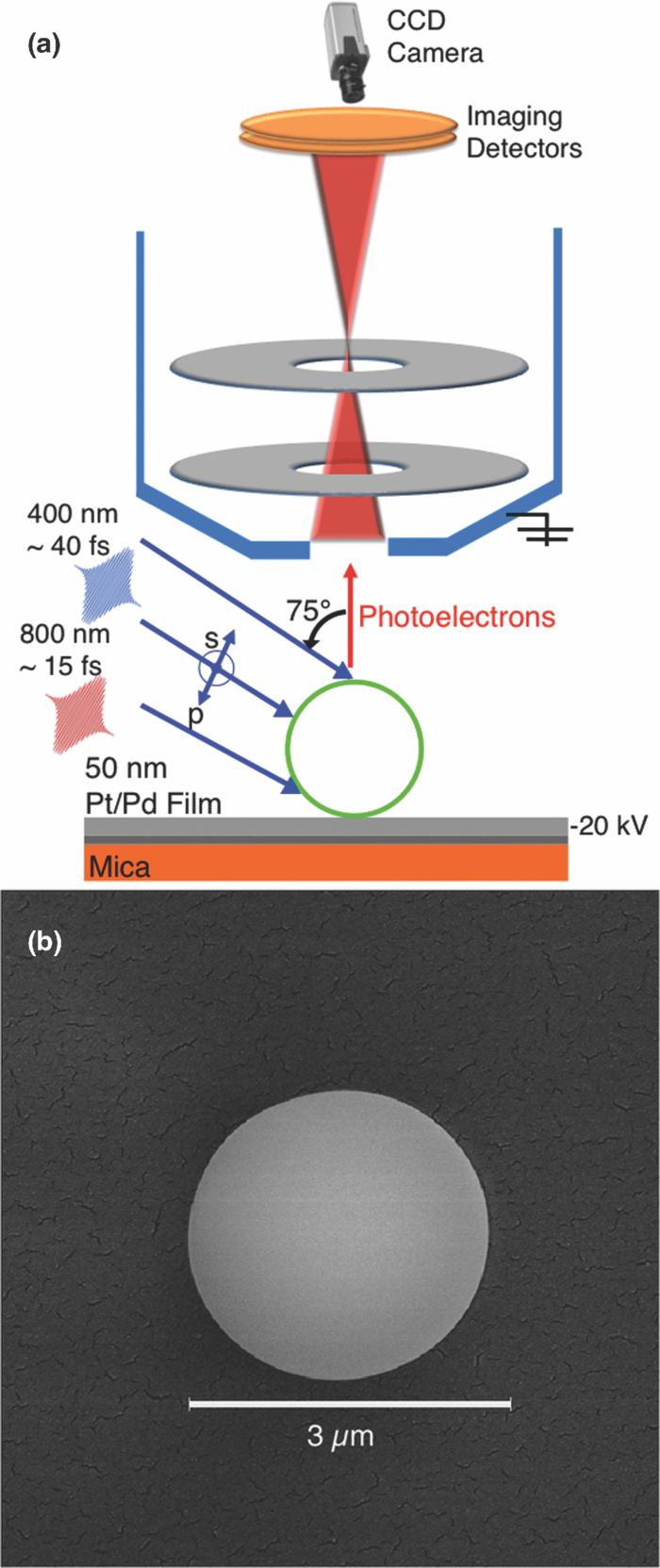 Near-field focused photoemission from polystyrene microspheres studied ...