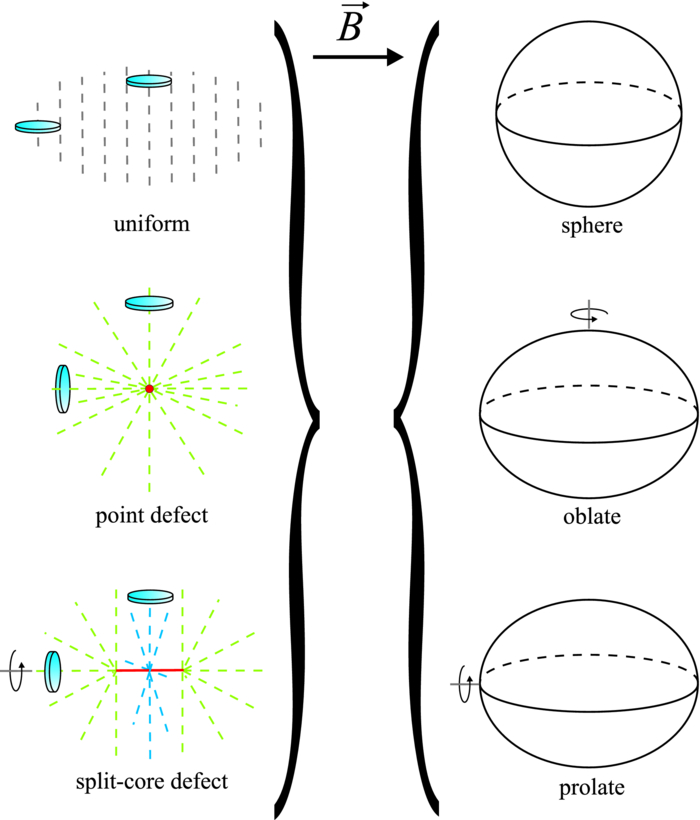 Deformable homeotropic nematic droplets in a magnetic field | The Journal of Chemical Physics ...
