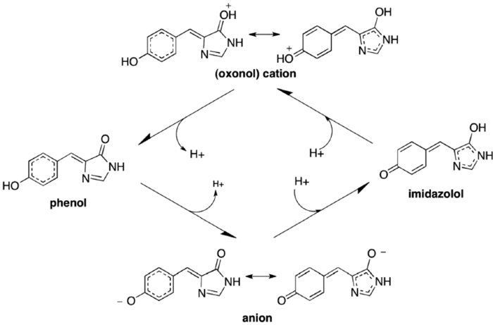 A two-state model of twisted intramolecular charge-transfer in ...