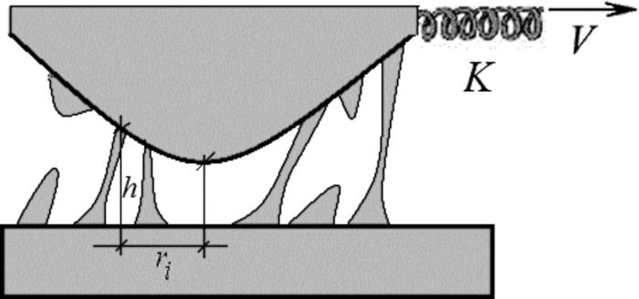 Formation and rupture of capillary bridges in atomic scale friction ...