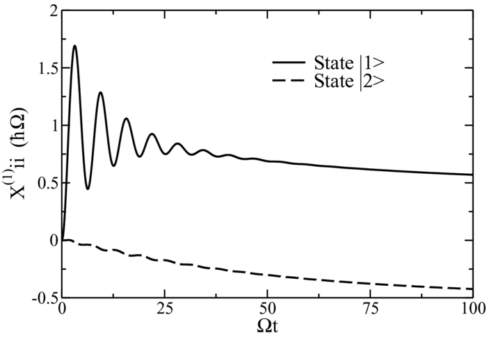 Explicit system-bath correlation calculated using the hierarchical ...