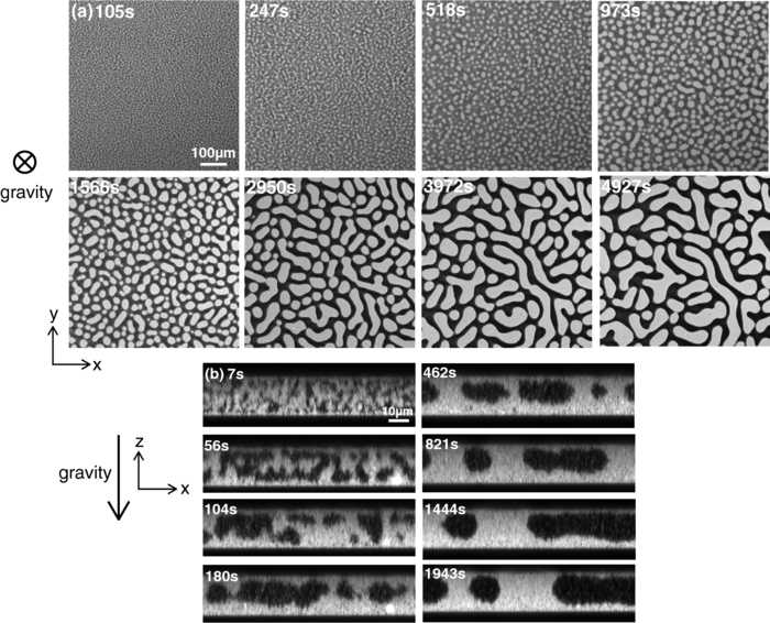 Spinodal decomposition of a confined colloid-polymer system | The ...