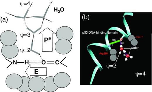 Communication: Nanoscale electrostatic theory of epistructural fields ...