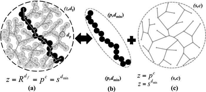 Quantitative investigations of aggregate systems | The Journal of ...