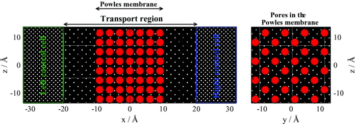 Simulation of steady-state diffusion: Driving force ensured by dual ...