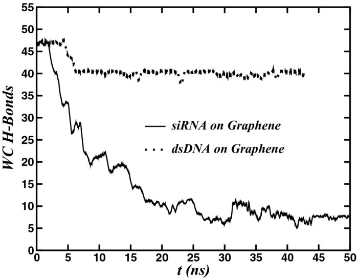 Unraveling siRNA unzipping kinetics with graphene | The Journal of ...