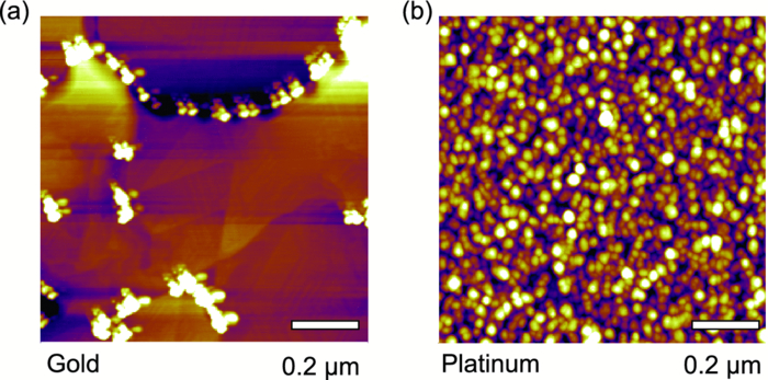 Conductive probe AFM study of Pt-thiol and Au-thiol contacts in metal ...