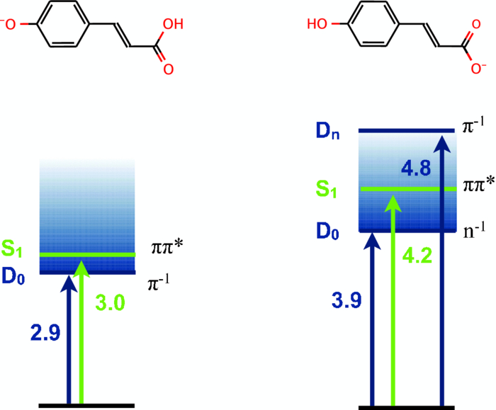 Complex Scaled Equation Of Motion Coupled Cluster Method With Single And Double Substitutions