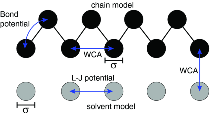 Structure factor and rheology of chain molecules from molecular ...