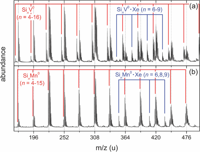 The structures of neutral transition metal doped silicon clusters, SinX ...