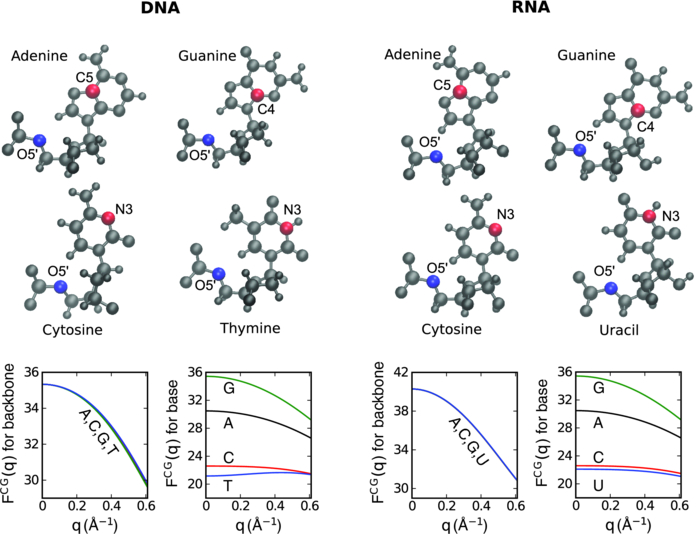 Fast-SAXS-pro: A unified approach to computing SAXS profiles of DNA ... Fast-SAXS-pro: A unified approach to computing SAXS profiles of DNA ...