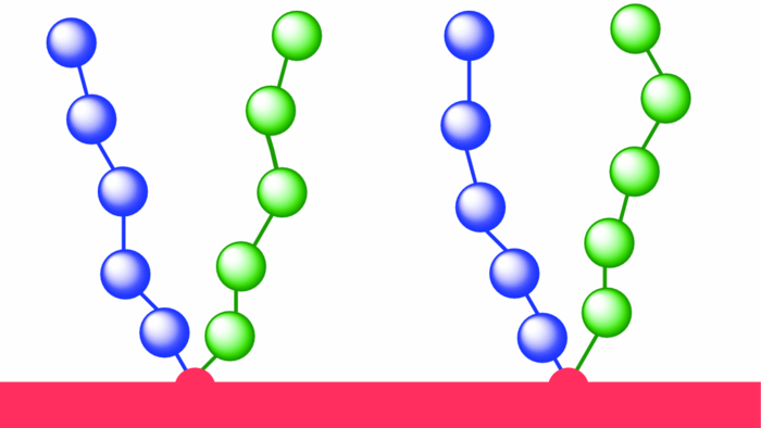 The structures of thin layer formed by microphase separation of grafted ...