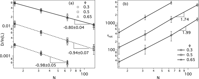 Dynamics of two-dimensional and quasi-two-dimensional polymers | The ...