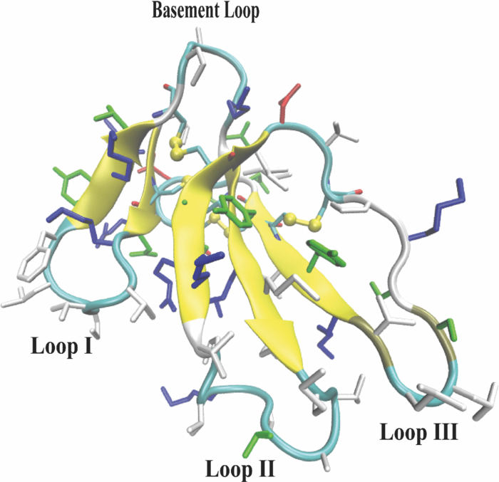 Nanomechanical properties of lipid bilayer: Asymmetric modulation of ...