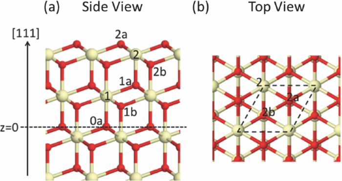Determination of the surface structure of CeO2(111) by low-energy ...