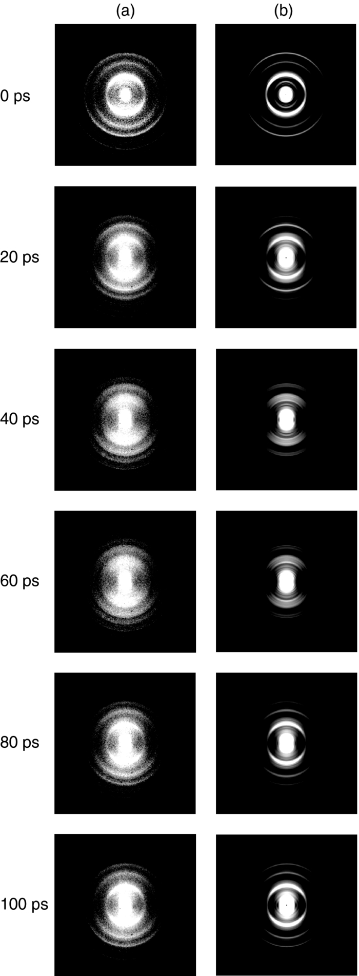 Comment On “photoelectron Angular Distributions As A Probe Of Alignment