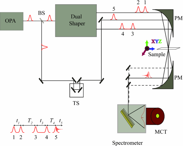 Fully Absorptive 3d Ir Spectroscopy Using A Dual Mid Infrared Pulse