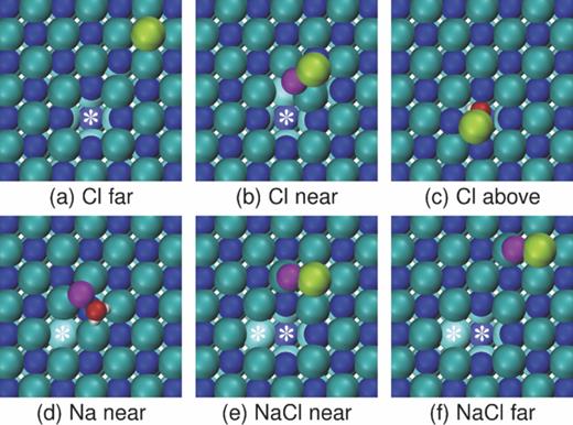 Understanding the role of ions and water molecules in the NaCl ...
