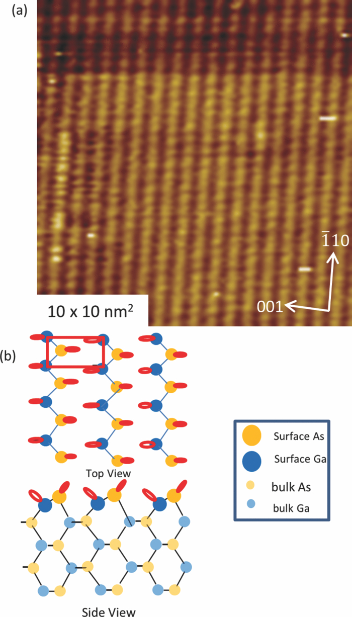Dual passivation of GaAs (110) surfaces using O2/H2O and ...