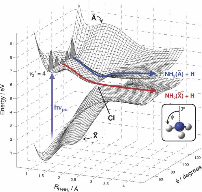 Timescales for adiabatic photodissociation dynamics from the Ã state of ...